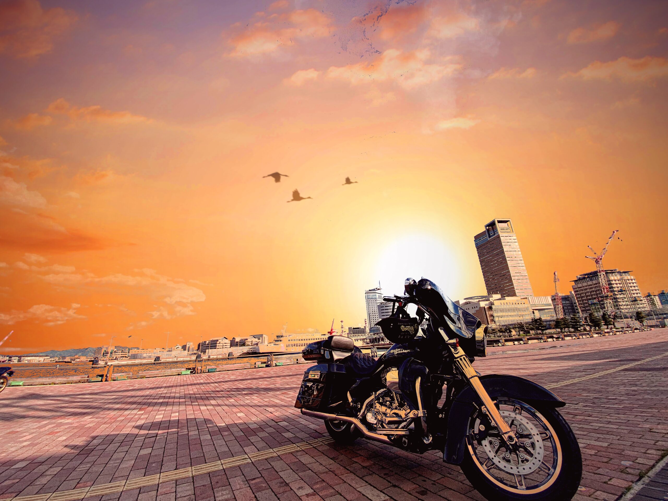 オンライン - isedaの扉